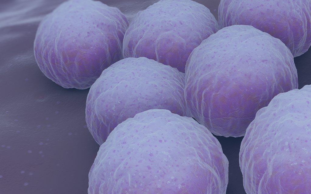 Rekordmange klamydiatilfælde blandt unge i Næstved Kommune - Næstved ...