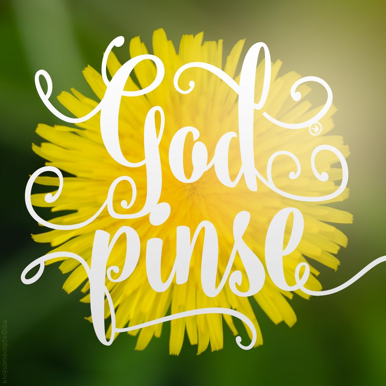 Guide til Pinsen: Take-away eller ud at spise i Næstved ...